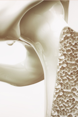 Gynova - Frauenheilkunde - Gynäkologie & Geburtshilfe